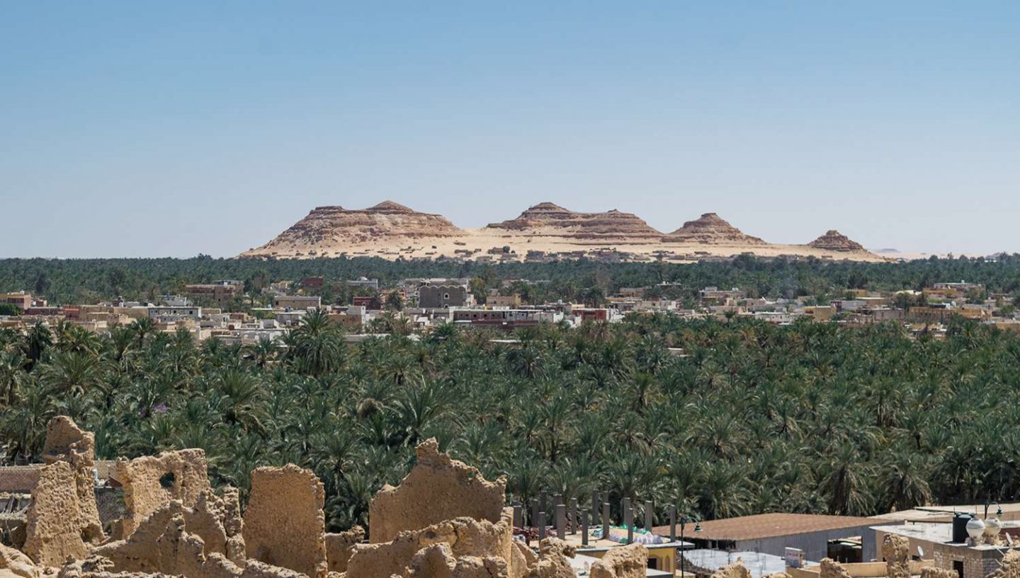 Egipto dykumos | Novaturas