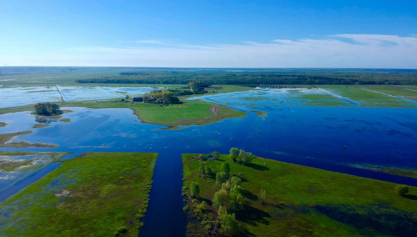 Šilutės „Sekretai“ ir plaukimas Nemuno delta (1 dienos pažintinė ...